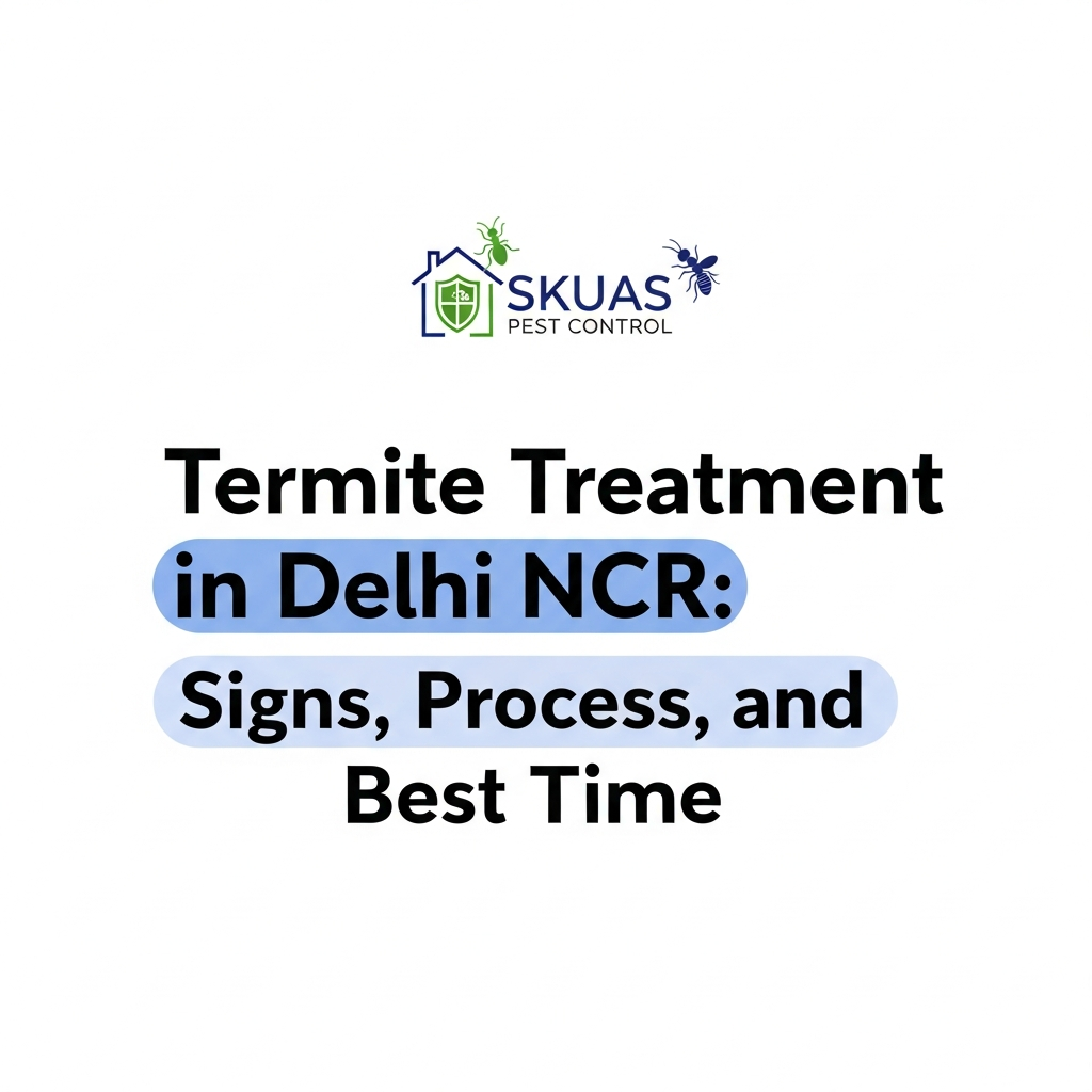 Termite Treatment in Delhi NCR: Signs, Process, and Best Time (2025 Guide)
